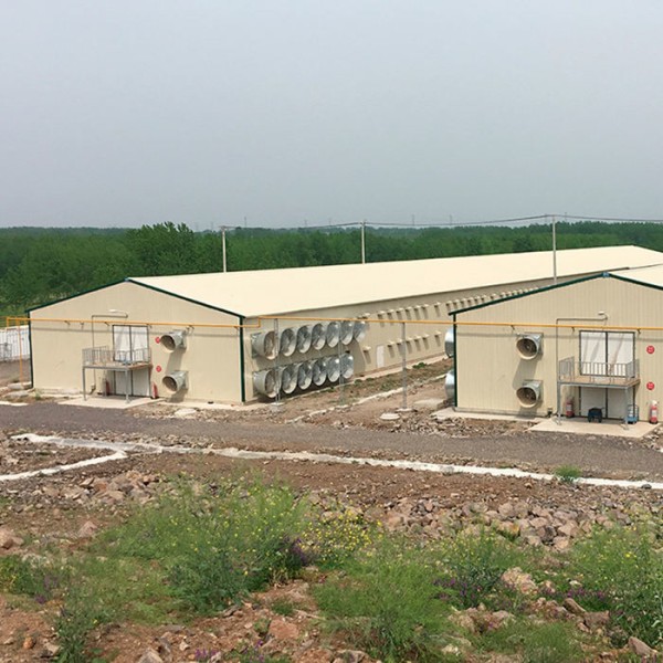 Quality Prefabricated Chicken Houses Customized Steel Poultry Shed Weather Resistance for sale