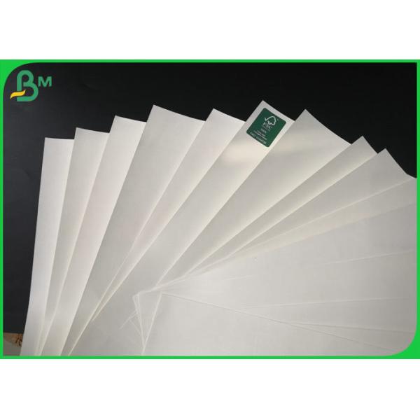 Quality 160gsm + 10gsm Poly Coated Paperboard , Food Grade Paper Roll With Great for sale