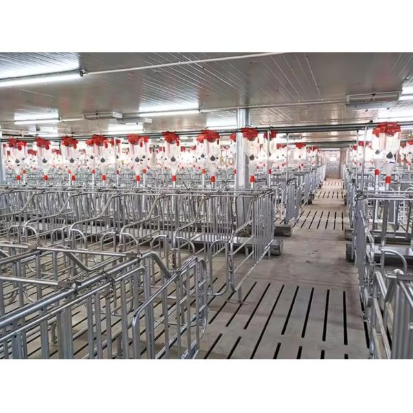 Quality High Strength Easy To Clean And Maintain GRP Floor Grating FRP Molded Pig for sale