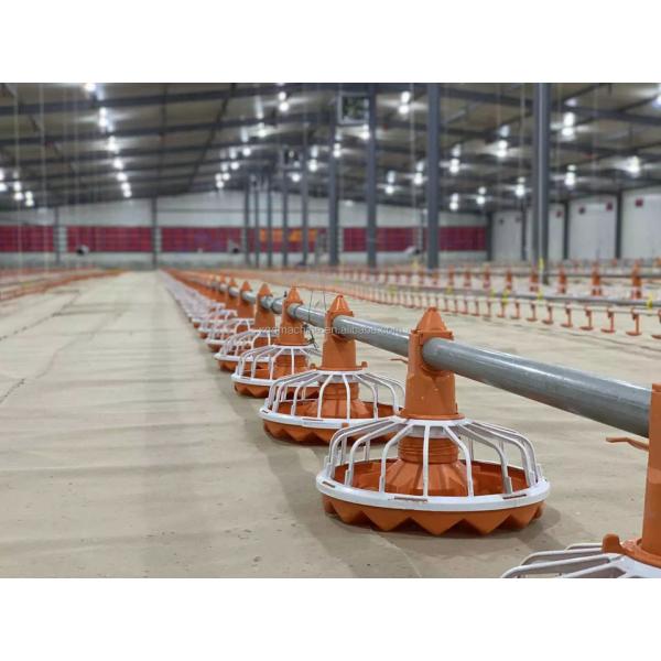 Quality Farms Automatic Poultry Feeder System Pan Feeder Poultry 99 Times for sale