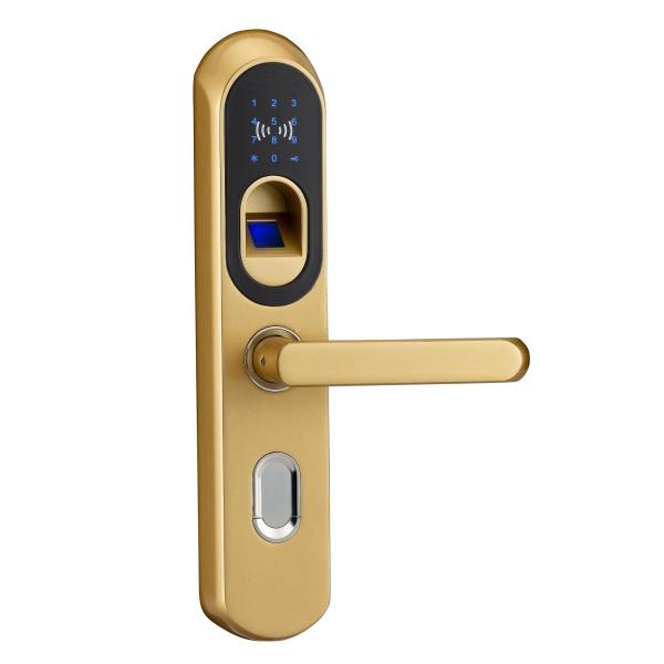 Quality Outdoor Keyless Biometric Fingerprint Door Locks With Deadbolt for sale