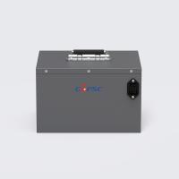 Quality 48V30Ah Sightseeing car/AGV LFP for sale