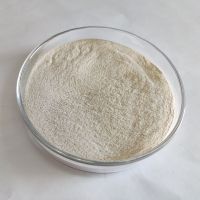 Quality Factory Supply Feed Grade Lipase Enzyme for Animal Feed Feedstuff Premix for sale