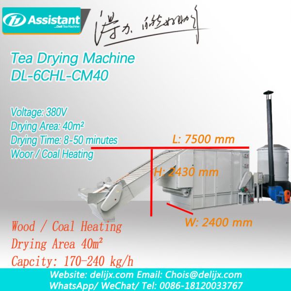 Quality Wood and Coal Heating DL-6CHL-CM16 Tea Leaf Drying Machine with 16m2 Drying Area for sale