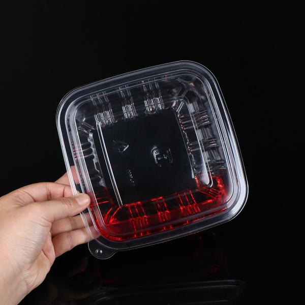 Quality Clamshell Blister Packaging Tray Customized Disposable Clear for sale