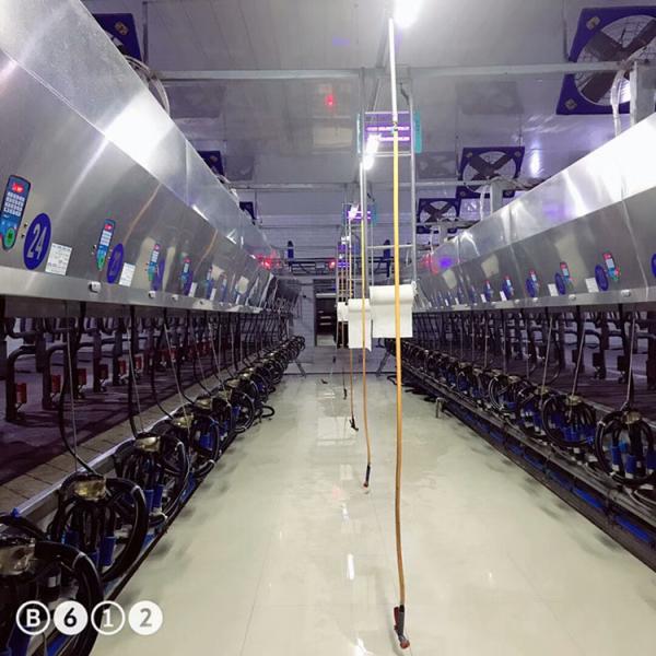 Quality Digital Metering 220v 10 Unit Milking Parlour Herringbone Type for sale