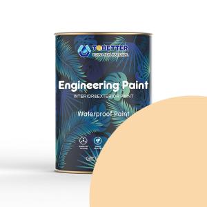 Quality Foundation Waterproof Exterior Wall Paint Primer Engineering Construction for sale