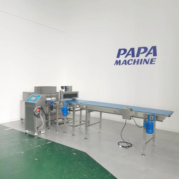Quality Papa Fully Automatic P400 Multi Row Protein Energy Bar Production Line For Hard for sale