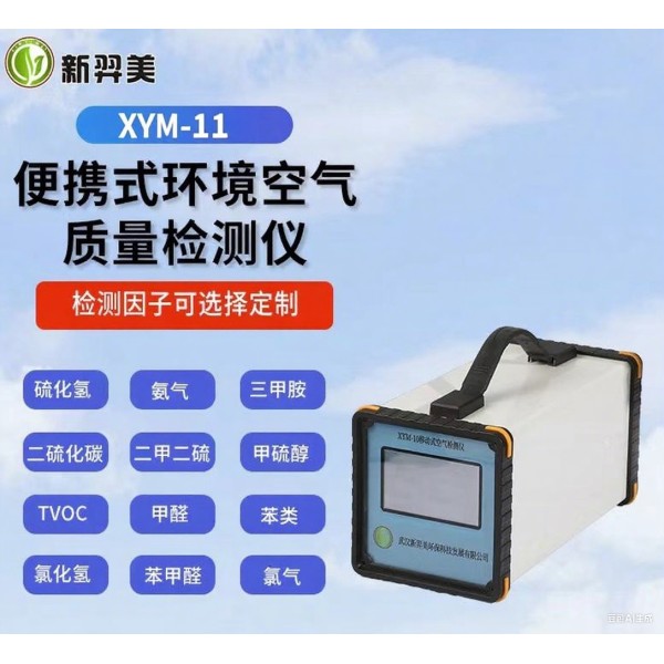 Quality 1ppb Resolution Portable Biogas Analyzer Compact Portable Gas Detector with PID for sale