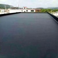 Quality High Polymer Modified Bituminous Waterproofing Coating With Industrial Design for sale