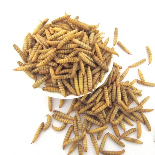 Quality Yellow Dried Black Soldier Fly High Protein Nutritional Value Black Soldier Fly Larvae for sale
