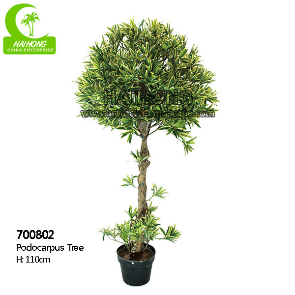 Quality Indoor Decoration 110cm Artificial Podocarpus Tree Customizable for sale