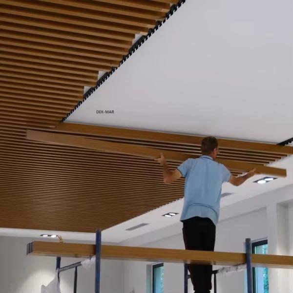 Quality 3D Design Aluminum Wall Panel Ceiling , Aluminum Acoustic Suspended Ceiling for sale