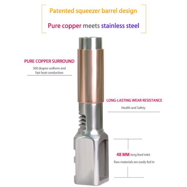 Quality Cold Pressed SS Peanut Industrial Oil Press Machine for sale