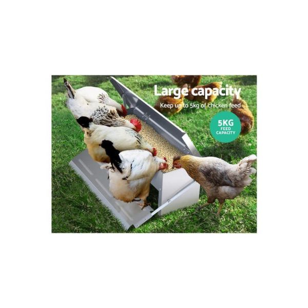 Quality Automatic Lid 5kg 8.2L Feed Timer Chicken Feeder for sale