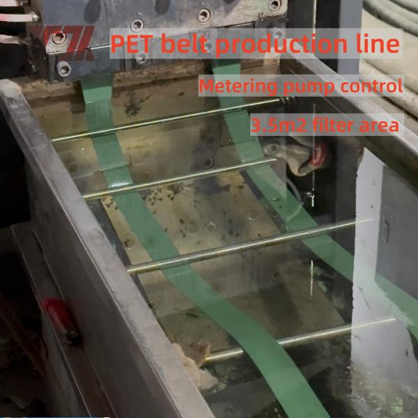 Quality 110mm Single Screw PET Strap Extrusion Line With PLC Control And Automatic for sale