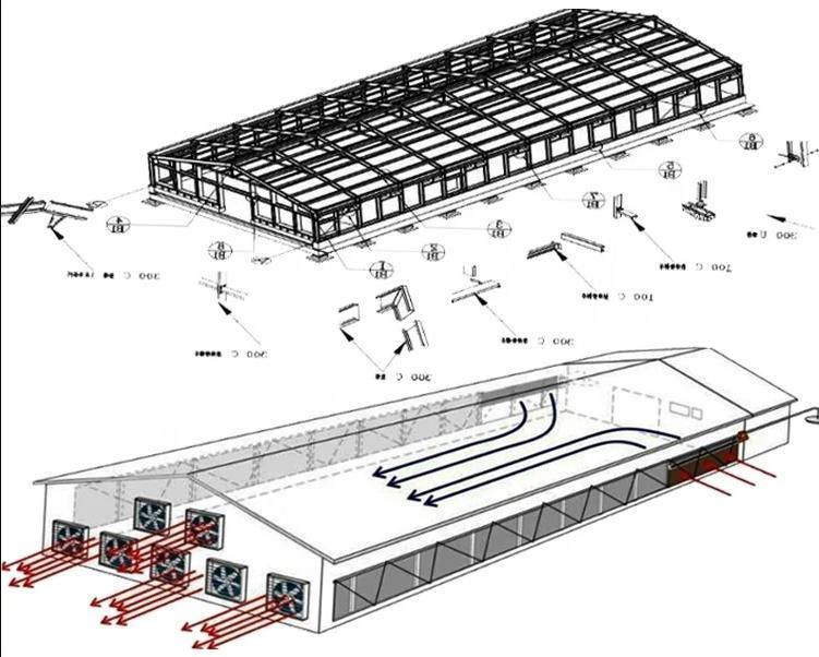 Prefab Steel Structure Dairy Cow Shed Farm Prefabricated Steel Structure Farm