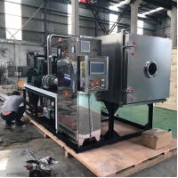 Quality SS304 Seasoning Vacuum Freeze Drying Machine Cold Brew Coffee Dryer Machine for sale