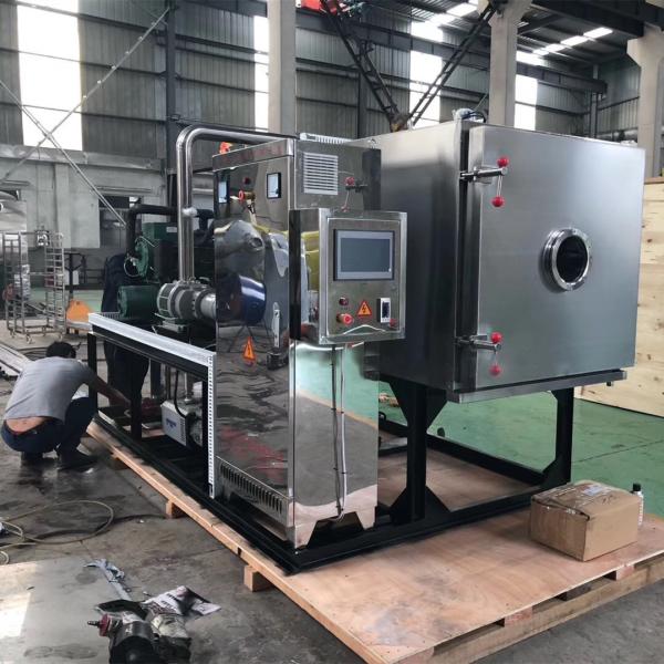 Quality SS304 Durian Jackfruit Drying Machine for sale