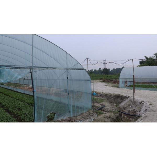 Quality Hydroponic System Tomato Farming Plastic Film Greenhouse 3-5m for sale