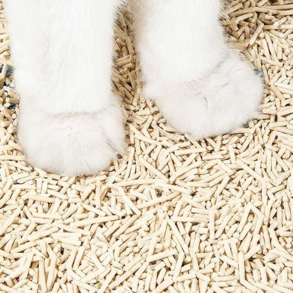 Quality 0.15cm Unscented Cat Litter  Easy Convenient Litter Box Maintenance White Tofu Litter for sale