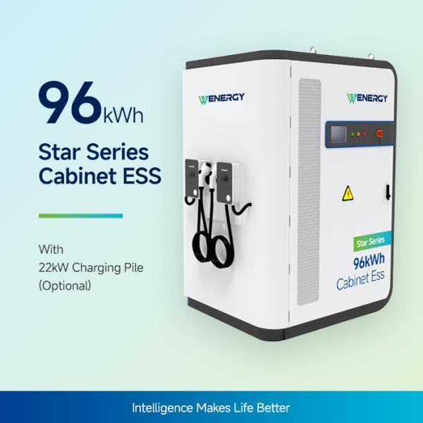 Quality 96kWh Lithium Ion Solar Diesel Hybrid Power System ESS Cabinet for sale