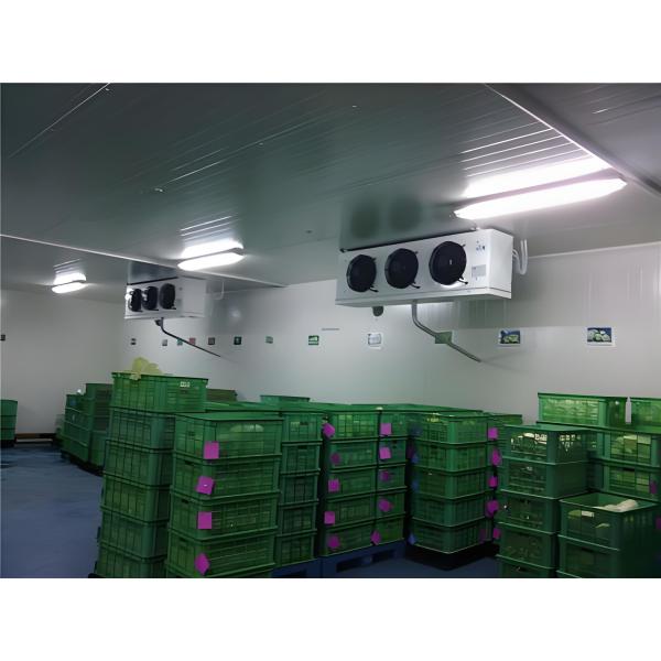 Quality Polyurethane Foam Insulation Freezer Room And Cold Room For Pharmaceutical Products for sale