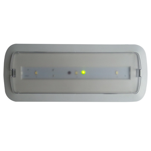 Quality 1.5W Commercial Ceiling LED Automatic Emergency Light Fixture 50Hz 60Hz L116N-B for sale