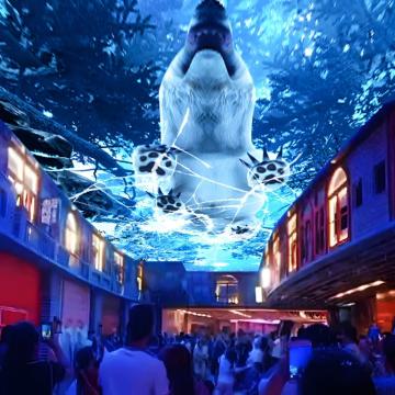 Quality Northern Lights Holographic Projection Sky Screen Immersive Projector For Museum for sale