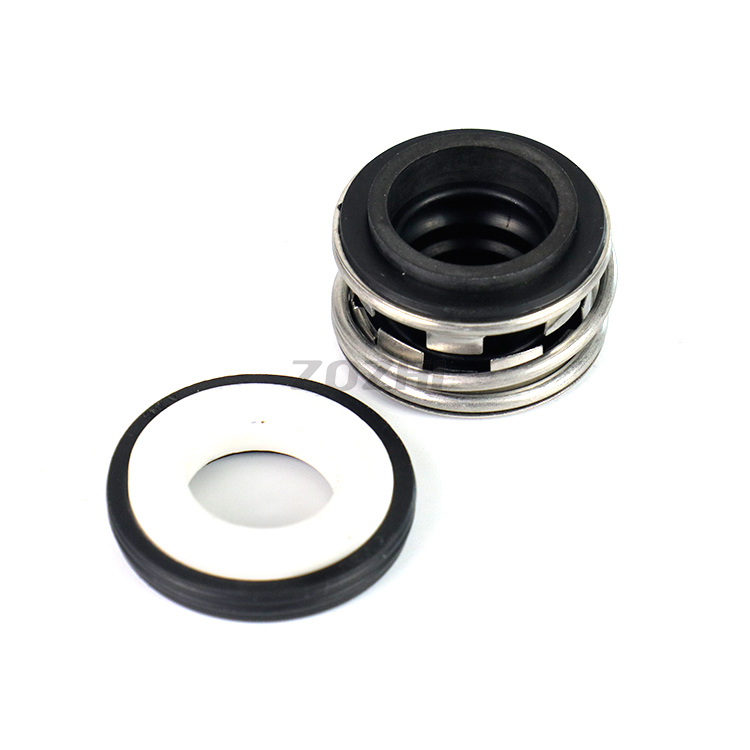 mechanical seal 2100