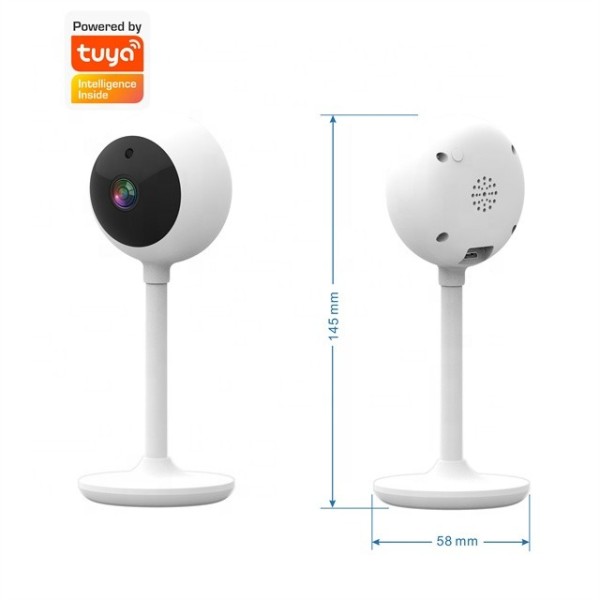 Quality Remote Control Tuya Smart Camera Wifi Two Way 10m Night Vision Motion Sensor for sale