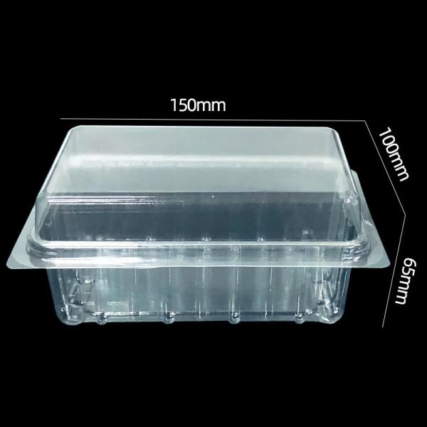 Quality ISO9001 Customized PET Food Grade Plastic Container Blister Clamshell Packaging for sale
