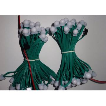 Quality 12mm Open Hole LED Pixel Lamp / SK6812 IP68 LED Pixel String With All Green Wire for sale