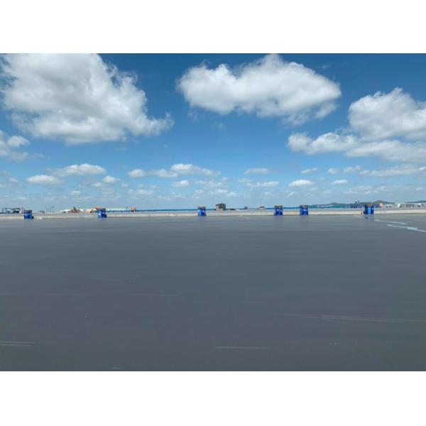 Quality SPU Overstrength Elastic One Component Polyurethane Waterproofing Coating for sale