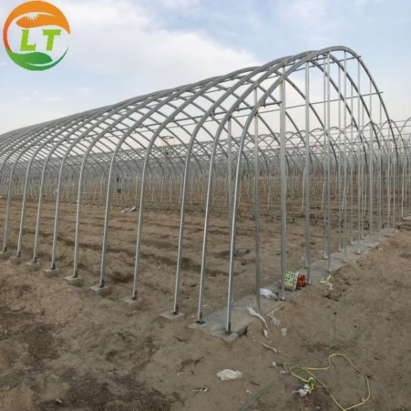 Quality Film Cover Single-Span Agricultural Greenhouses for Agricultural Cultivation for sale