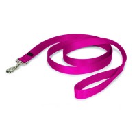 Quality Strong and Durable Traditional Style Nylon Dog Leash with Easy to Use Collar for sale