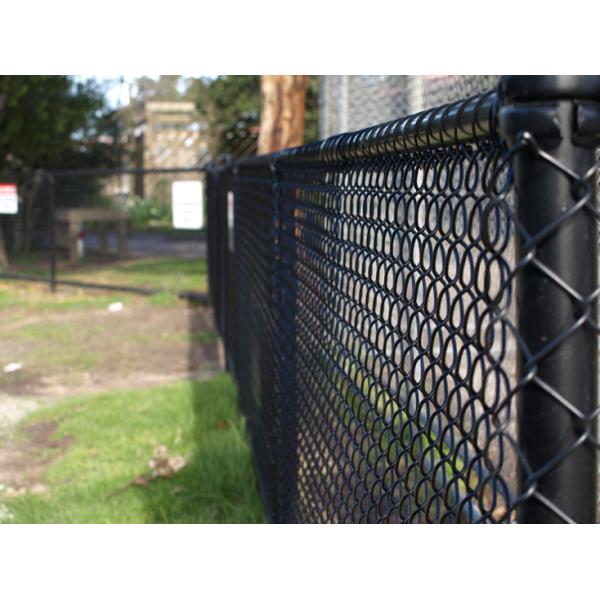 Quality Black Galvanized 3.0m Height Steel Chain Link Fencing 50mm Pitch for sale