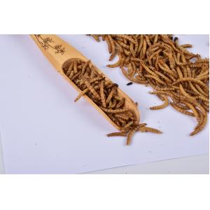 Quality Wholesale High Quality Yellow Dried Mealworms, Dried Mealworm Powder for sale