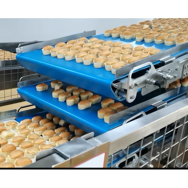 Quality Robot Depanner Continuous Hygiene Automatic Bread Production Line for sale