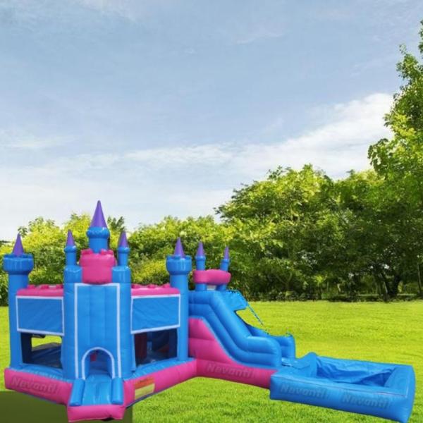 Quality Commercial Inflatable Bouncy Castle with Customized Size and Bluey Bounce House for sale
