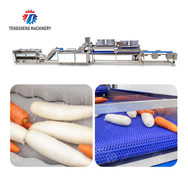 Quality Enhance Your Production with Our State-of-the-Art Fruit And Vegetable Processing for sale