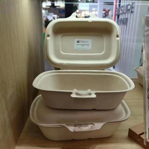Quality Heavy Bagasse Pulp Molding Machine Eco Friendly Take Away Food Container Making for sale
