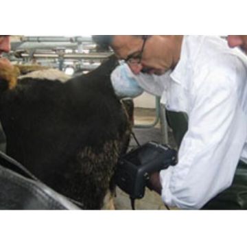 Quality B / W Palm Ultrasound Scanner Animal Ultrasound Scanner Using for Checking Mare for sale