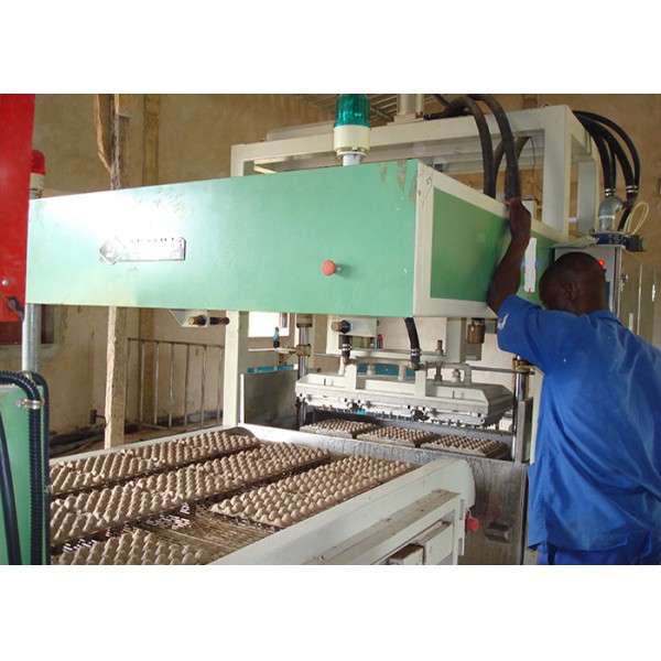 Quality Automatic Reciprocating Waste Paper Egg Carton Making Machine for Electronic Package Production Line for sale