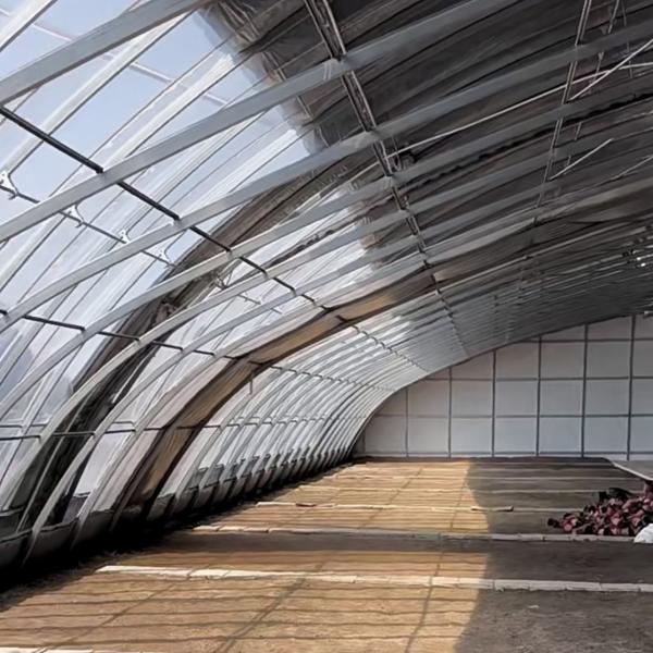 Quality Maximize Your Produce Yield with this Large Hydroponics Vegetable Sunlight for sale