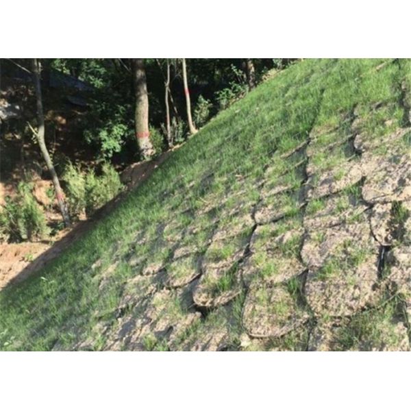 Quality Slope Protection Textured 1420N Geocell Confinement System for sale