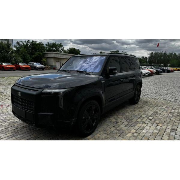 Quality Polar Stone 01 2023model 6 Seats Version AWD with Black Exterior Color for sale