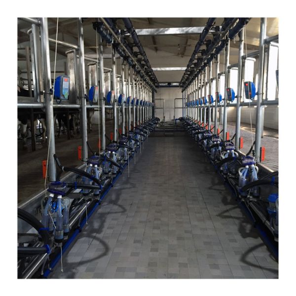 Quality Electric 180v Herringbone Milking Parlor Automatic Cow Milking Machine for sale