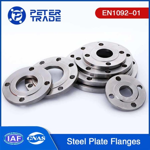 Quality TYPE 01 European Standard EN1092-01 304 316 Stainless Steel Plate Flanges Flat Face PN 40 PLFF DN10-DN600 for sale