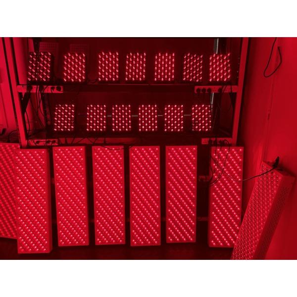 Quality 1000w Anti Aging Red Light Therapy Machines 660nm 850nm Device for sale